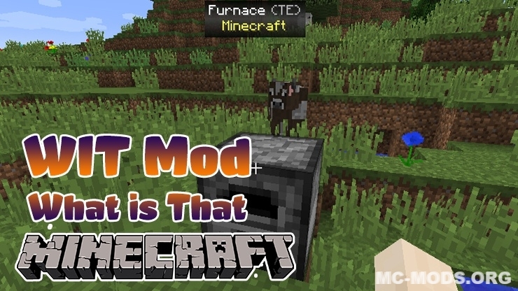WIT (What Is That) Mod 1.18.2/1.17.1/1.16.5/1.15.2 - MC-Mods.org